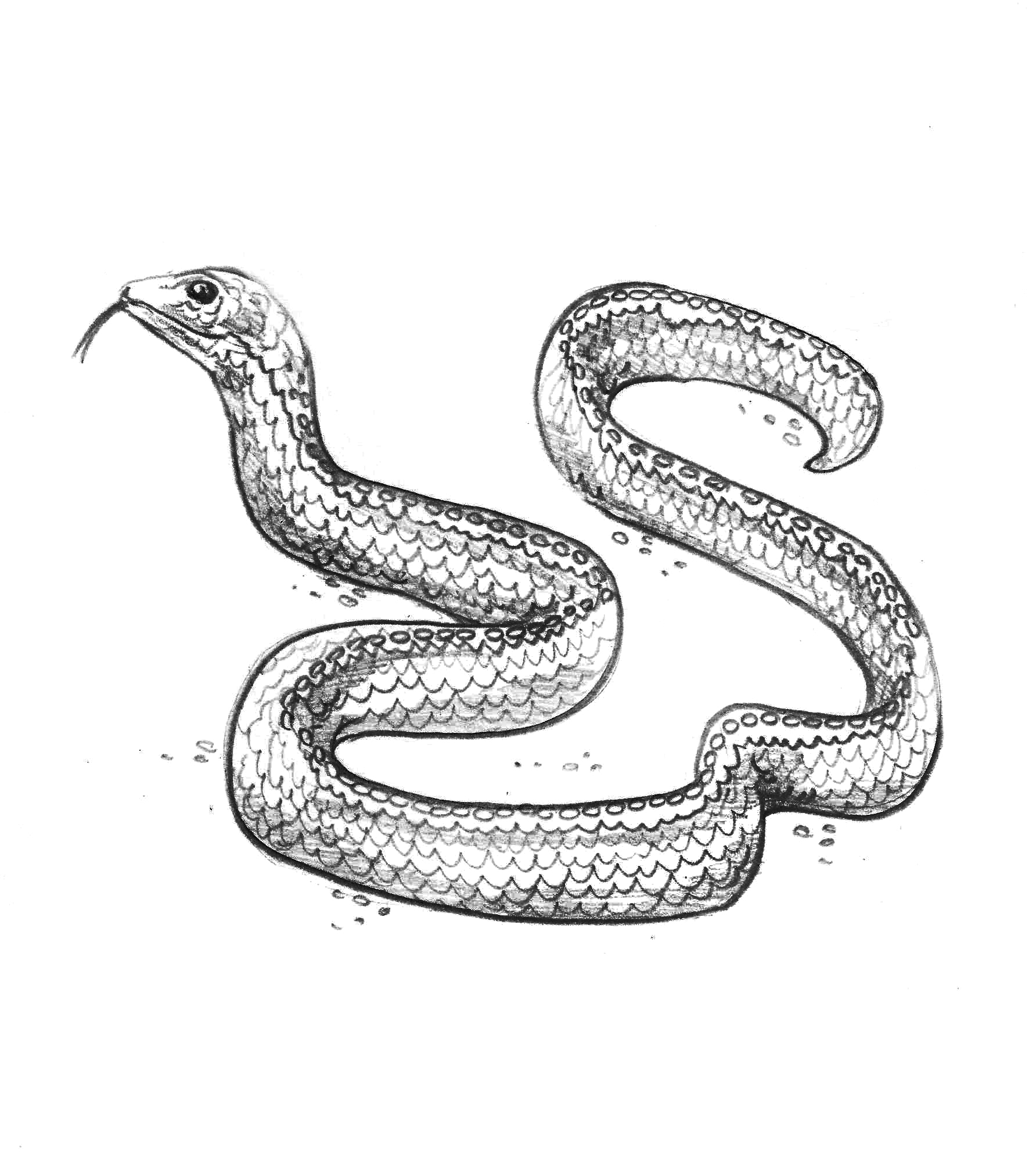 Tiamat - Babylonian Mother Goddess - Crystal Vaults