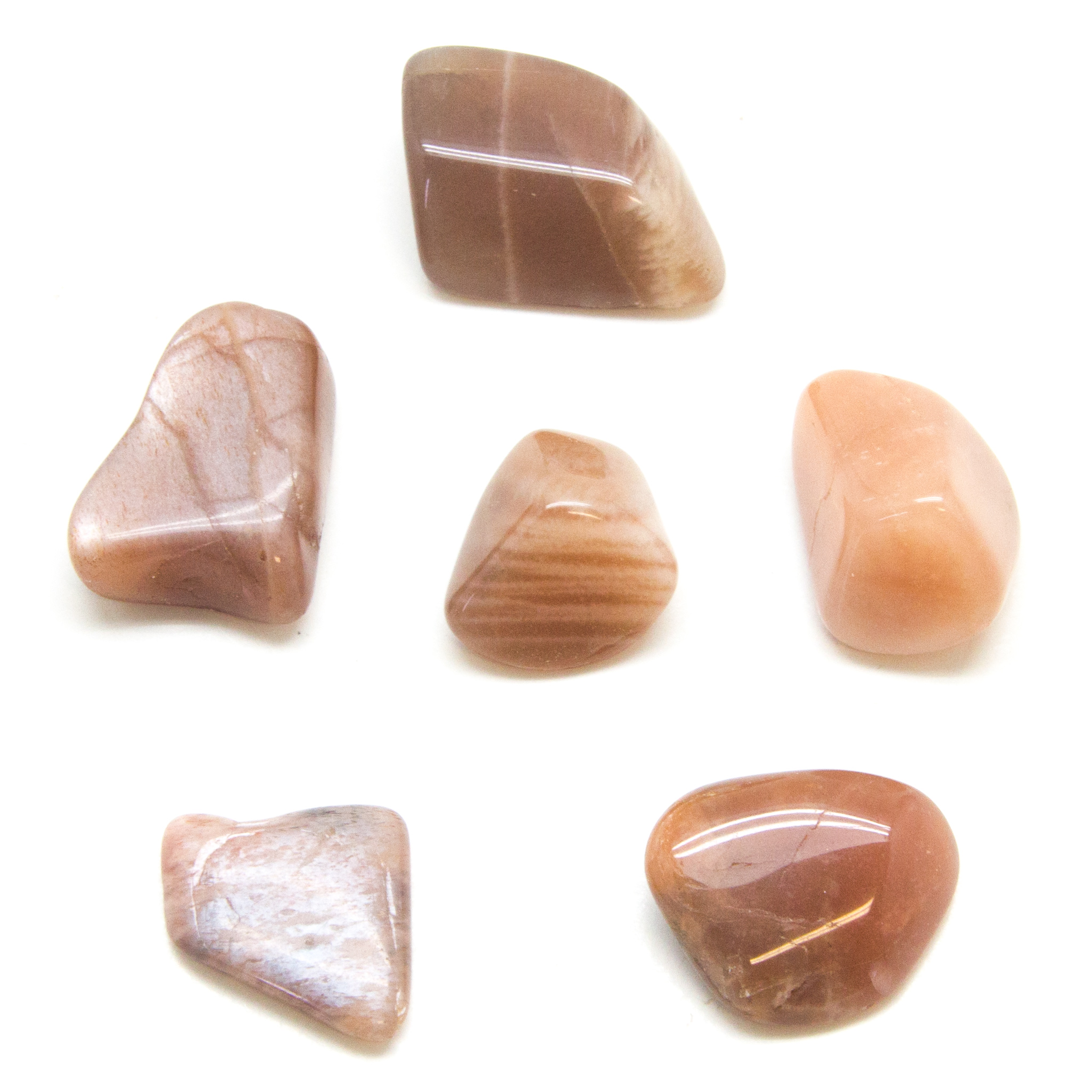 Moon Aligned Earth Tone Moonstone (set of six) - Crystal Vaults