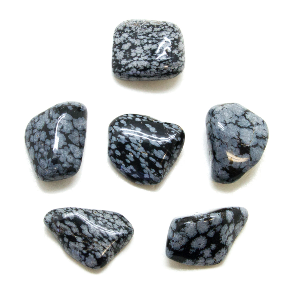 Snowflake Obsidian Tumbled Stone Set (Large) - Crystal Vaults