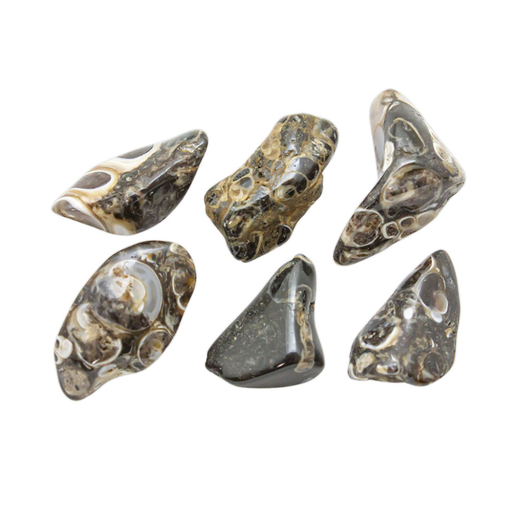 Turritella Agate Tumbled Set (M) - Crystal Vaults