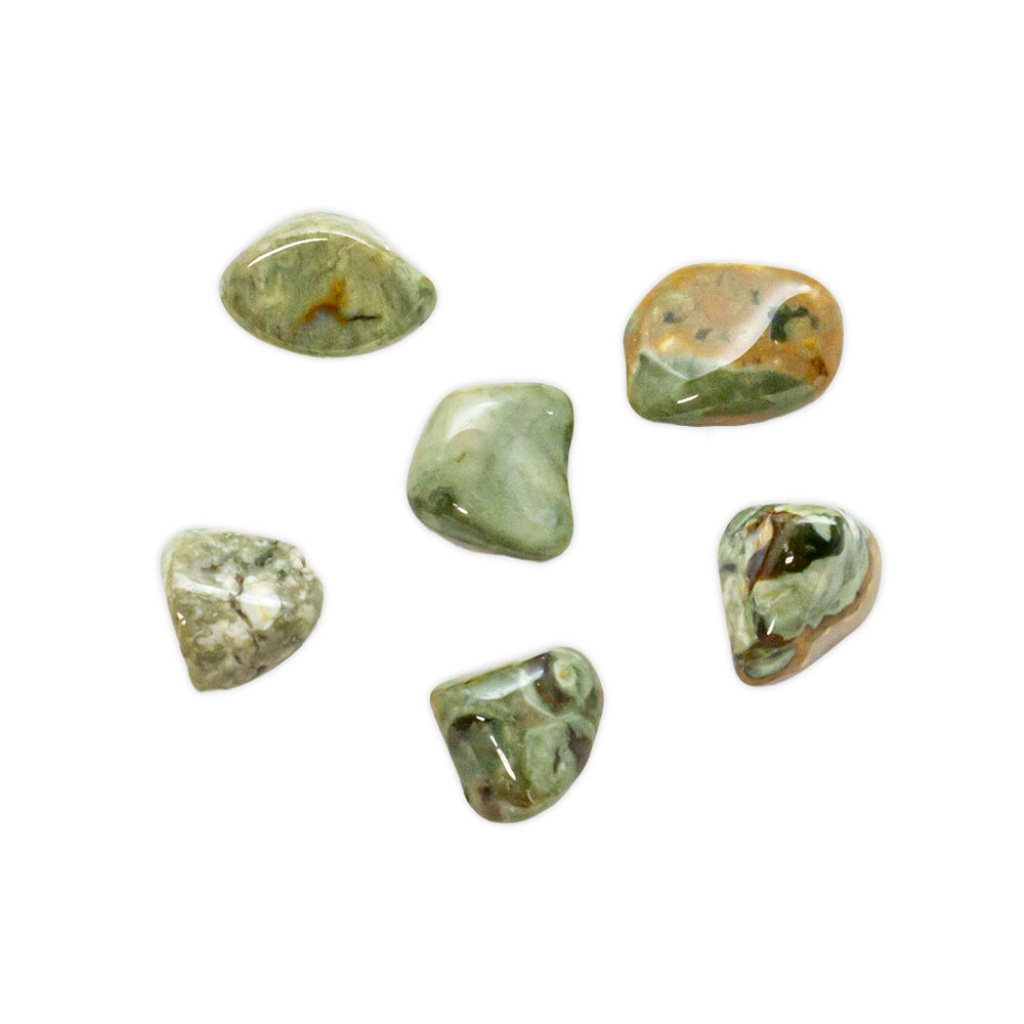 Rainforest Rhyolite Tumbled Set (Extra Small) - Crystal Vaults