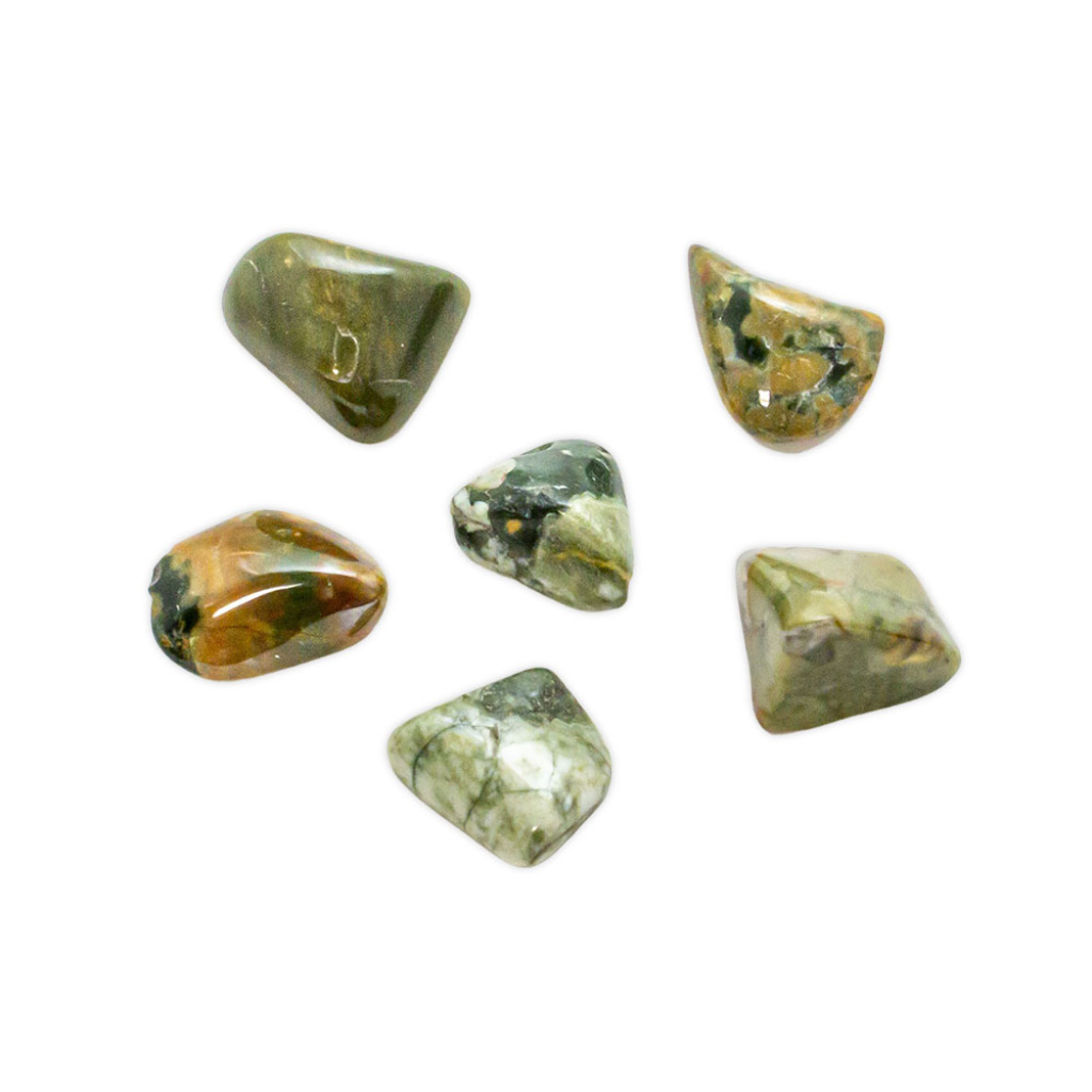 Rainforest Rhyolite Tumbled Set (Extra Small) - Crystal Vaults
