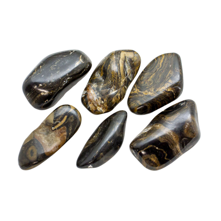 Stromatolite Tumbled Set (XL) - Crystal Vaults
