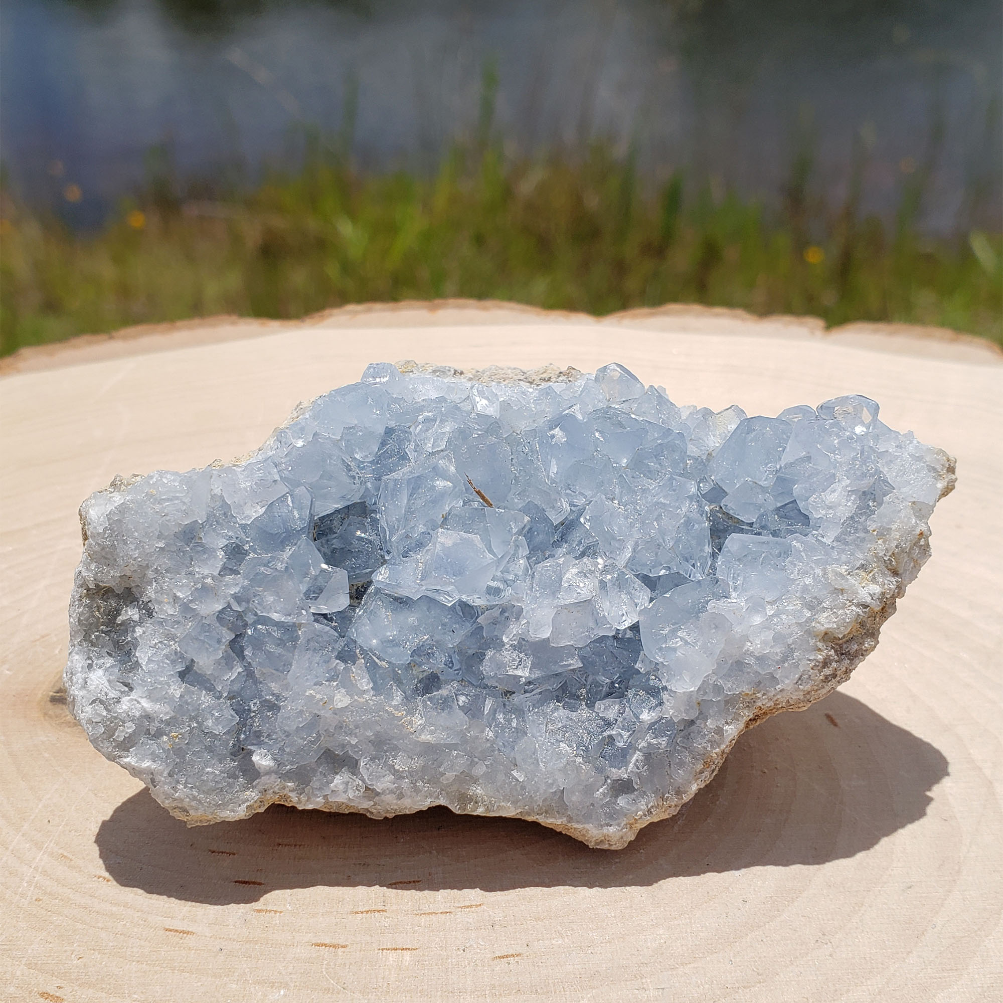 Celestite Cluster - Crystal Vaults