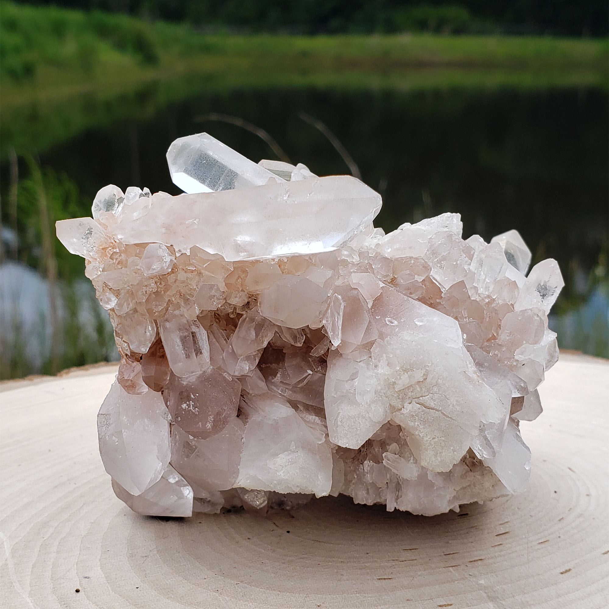 Himalayan Quartz Cluster - Crystal Vaults