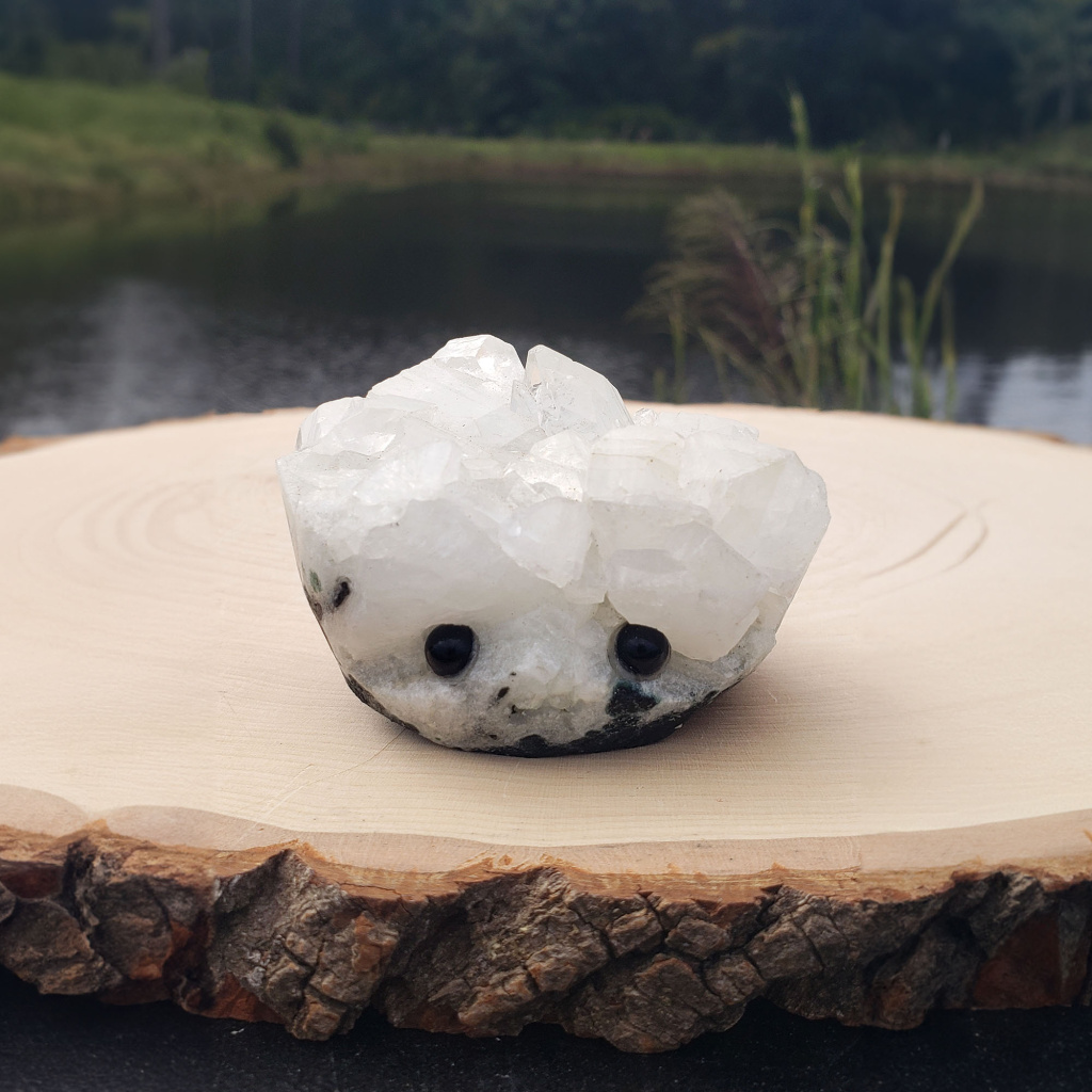 Quartz Crystal Pet - Crystal Vaults