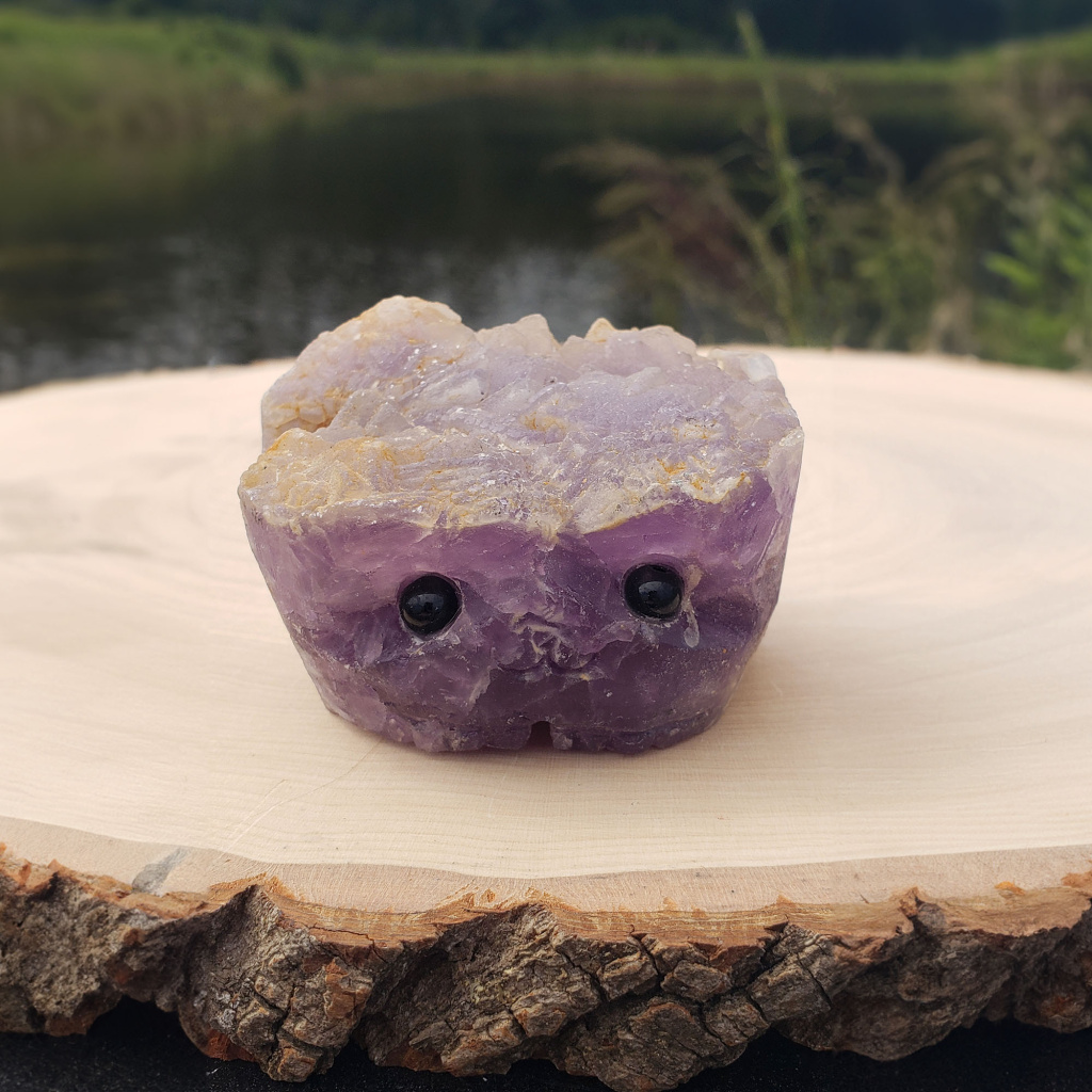 Fluorite Crystal Pet - Crystal Vaults