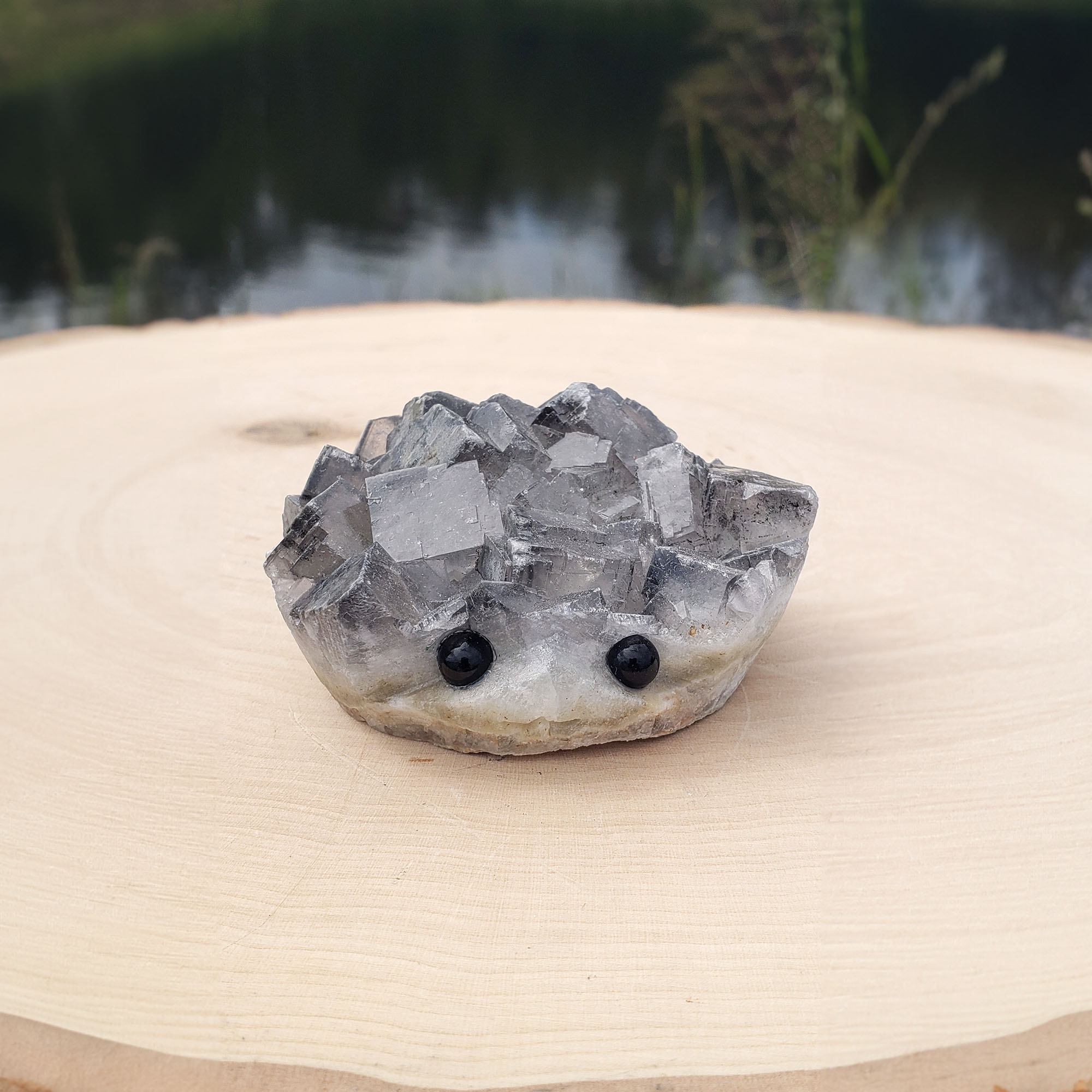 Fluorite Crystal Pet - Crystal Vaults