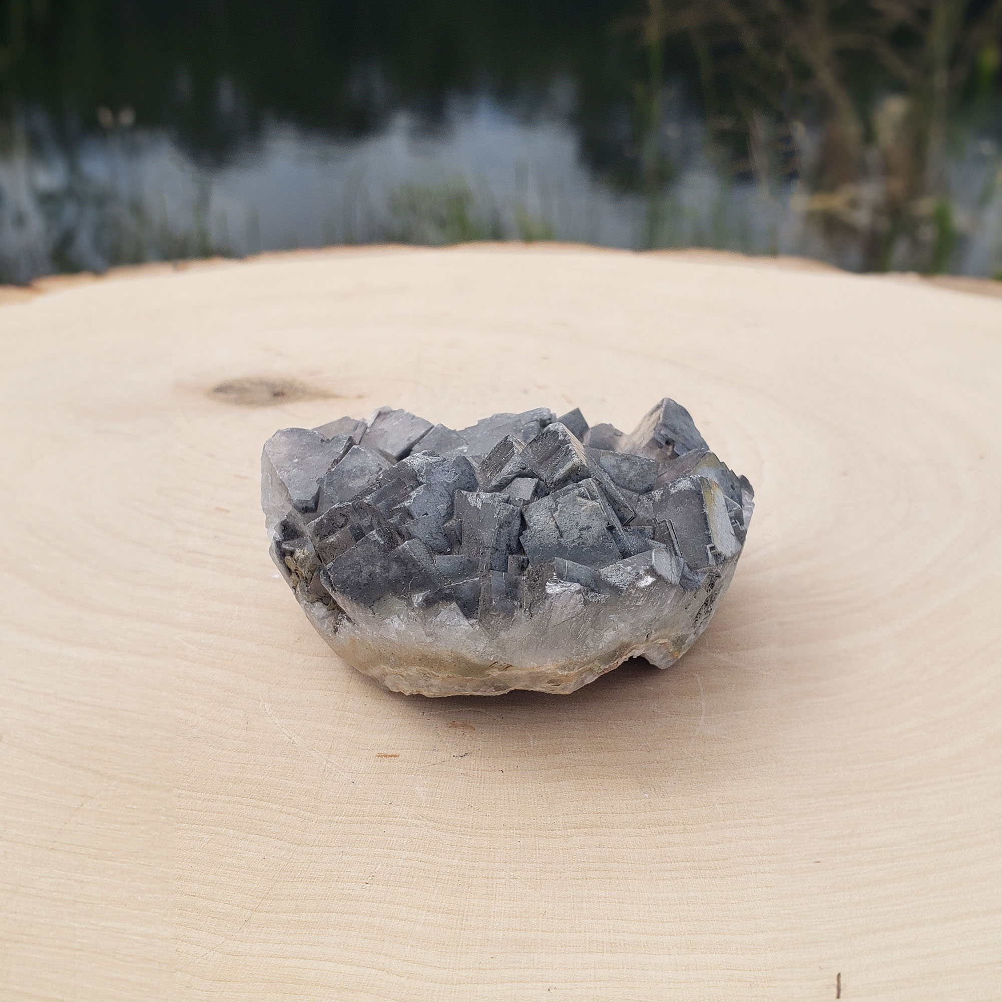 Fluorite Crystal Pet - Crystal Vaults