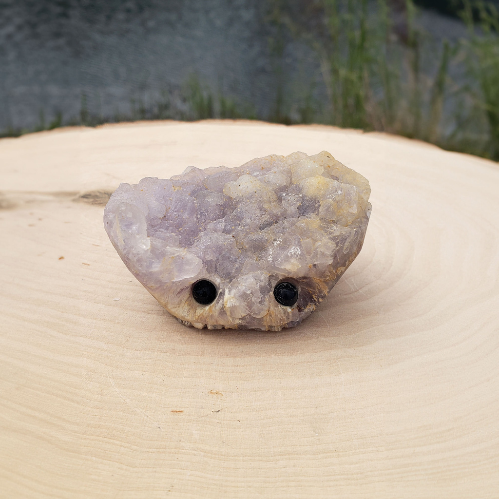 Fluorite Crystal Pet - Crystal Vaults