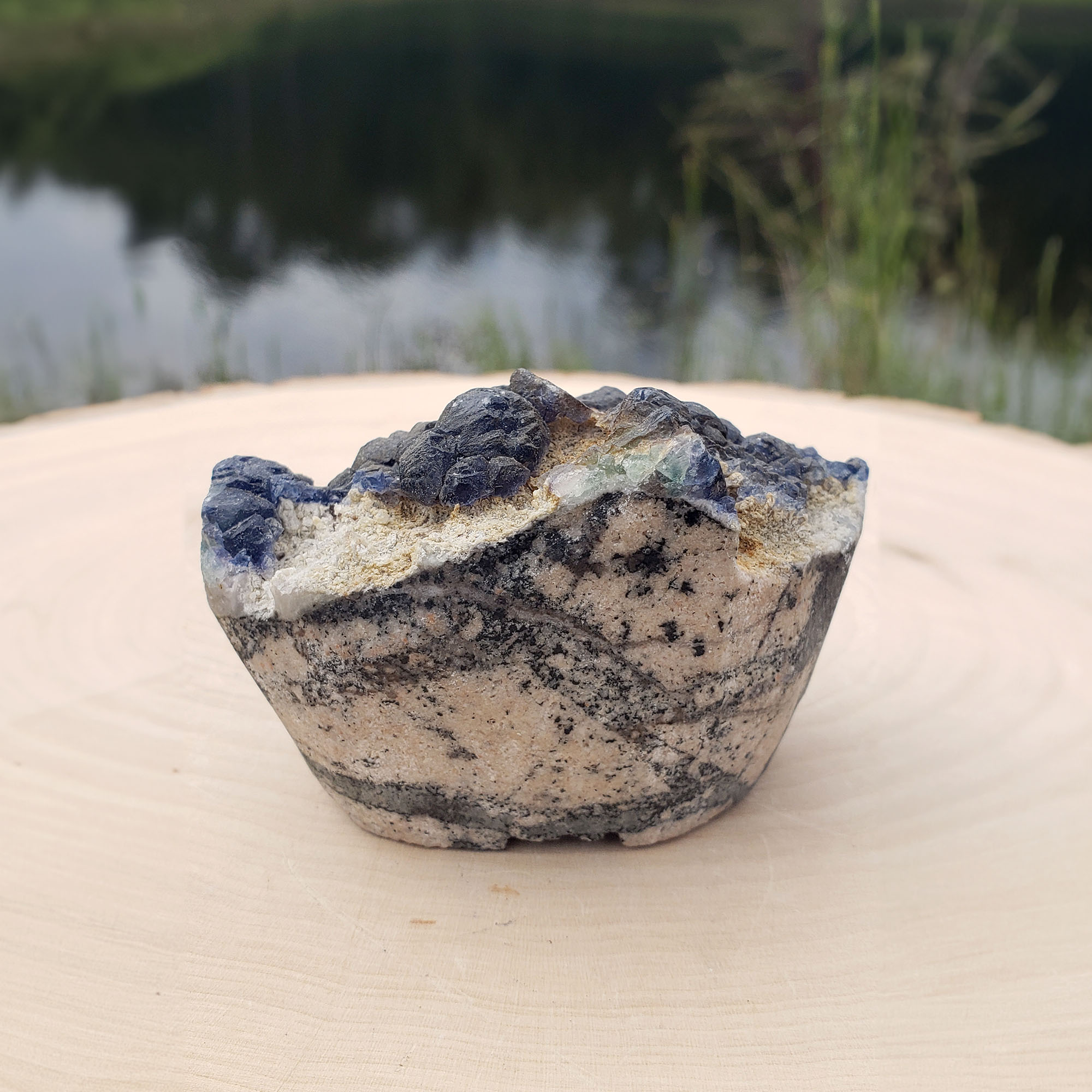 Fluorite Crystal Pet - Crystal Vaults