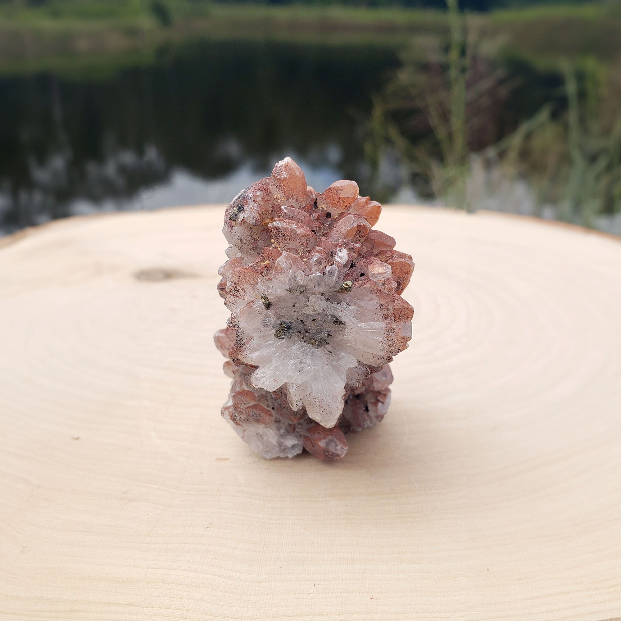 Aragonite Crystal Pet - Crystal Vaults