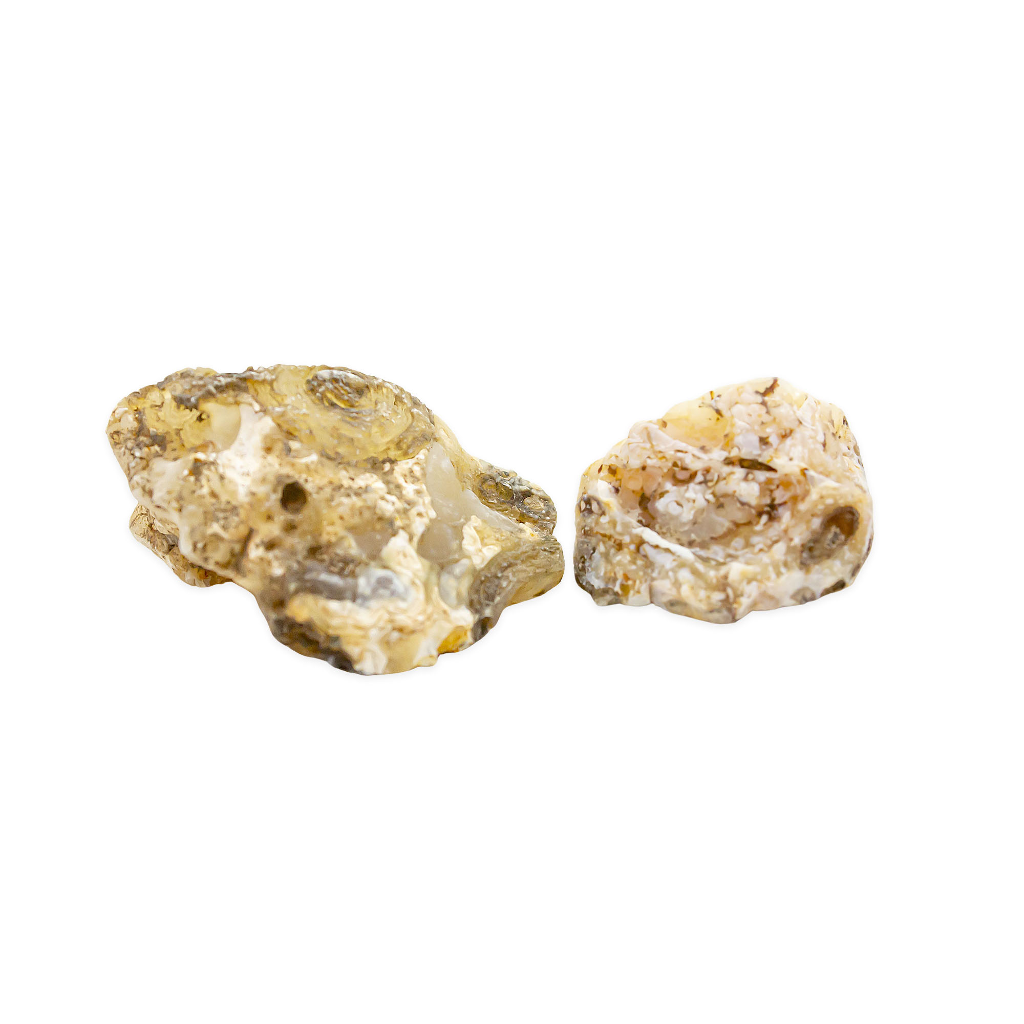 Perfectly Imperfect - Druzy Agate Geode Pair - Crystal Vaults