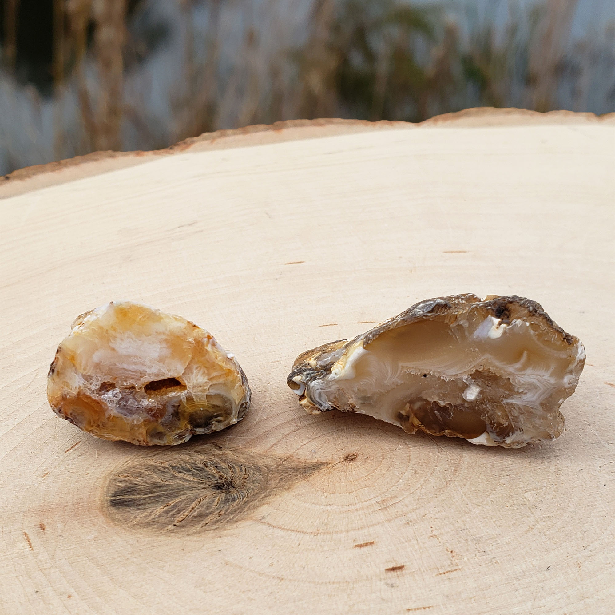 Perfectly Imperfect - Druzy Agate Geode Pair - Crystal Vaults