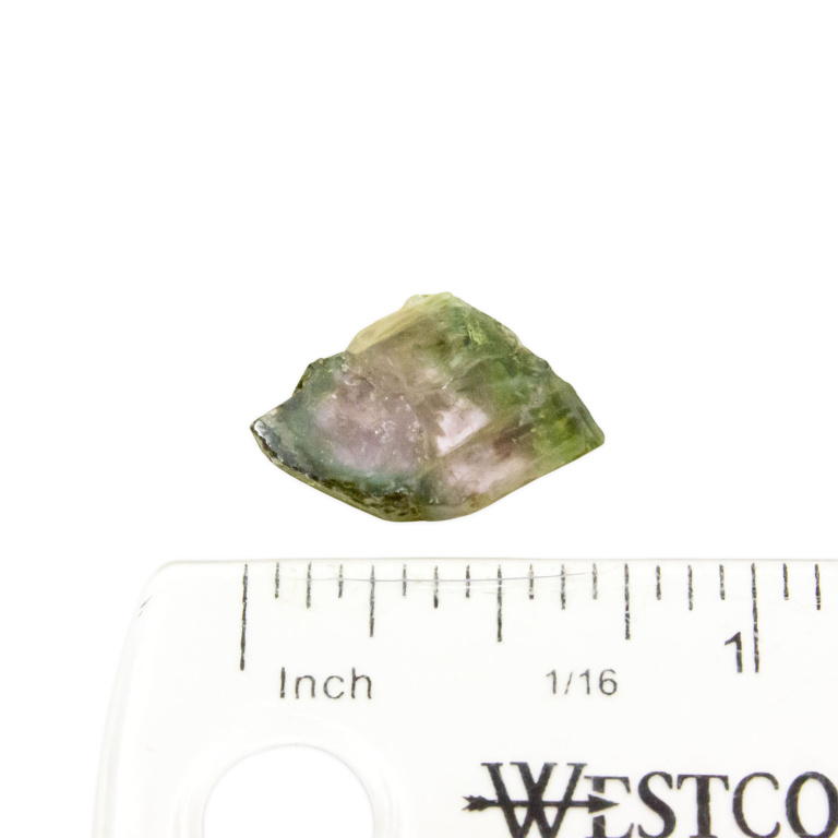 Watermelon Tourmaline Slice - Crystal Vaults