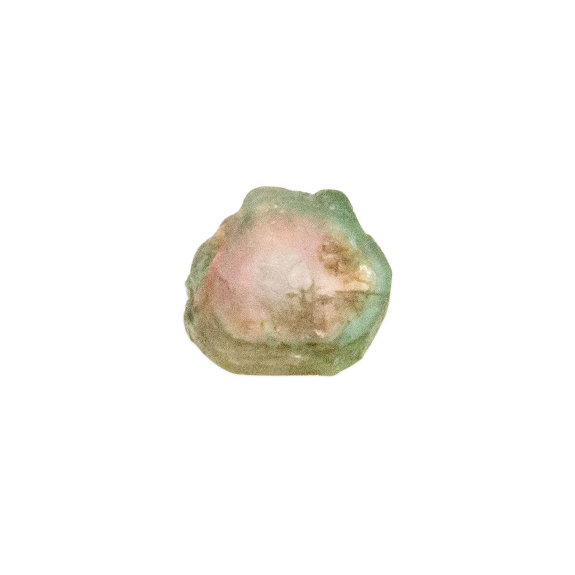 Watermelon Tourmaline Slice - Crystal Vaults