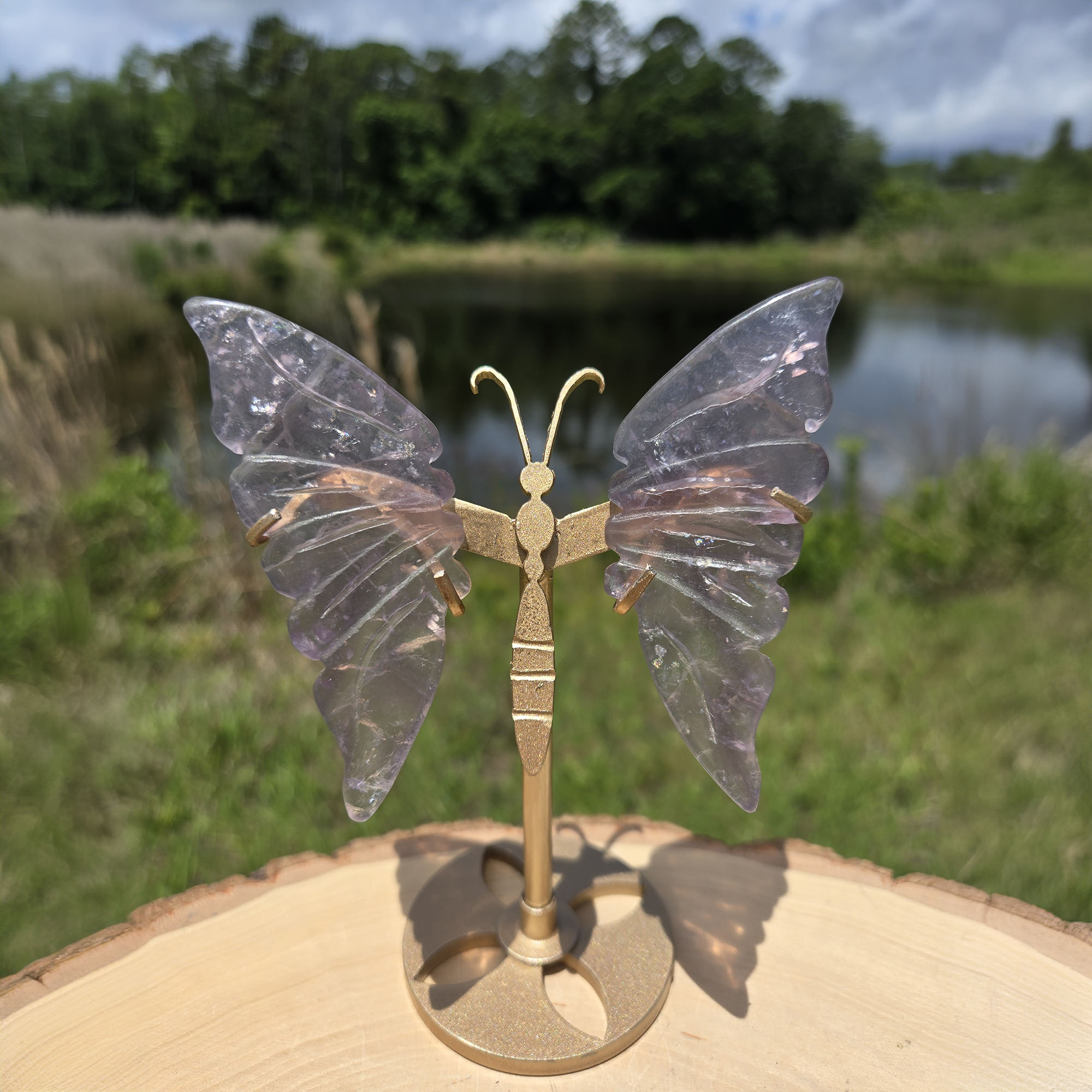 Fluorite Butterfly on Stand - Crystal Vaults