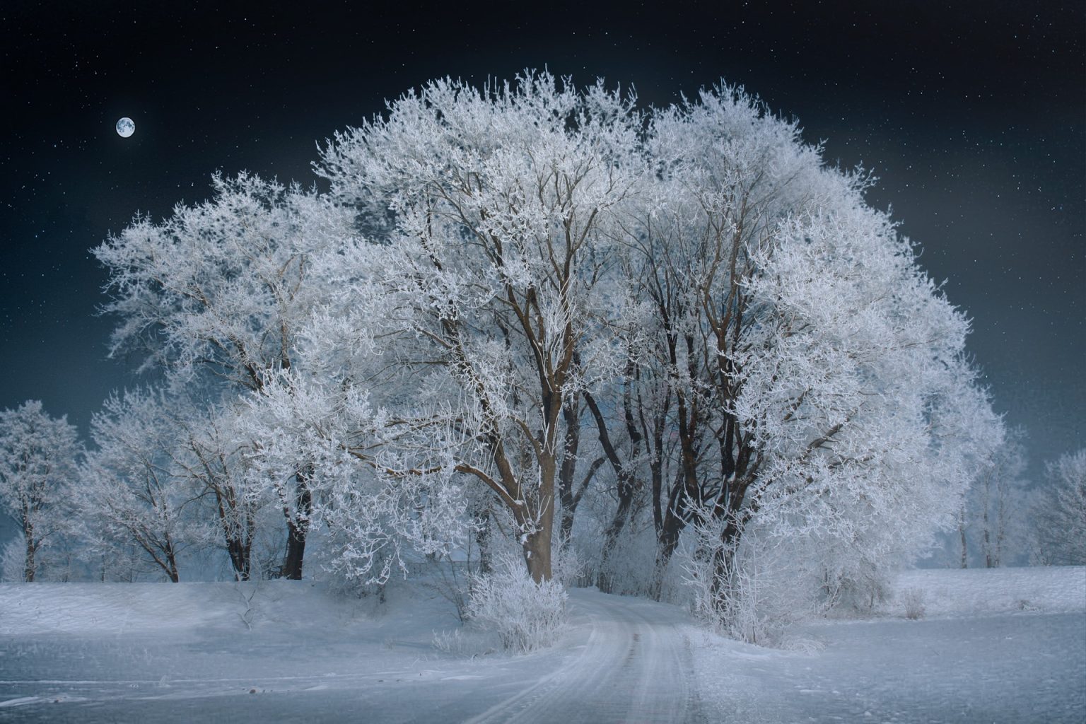 Harness the Energy of the December Cold Moon - Crystal Vaults